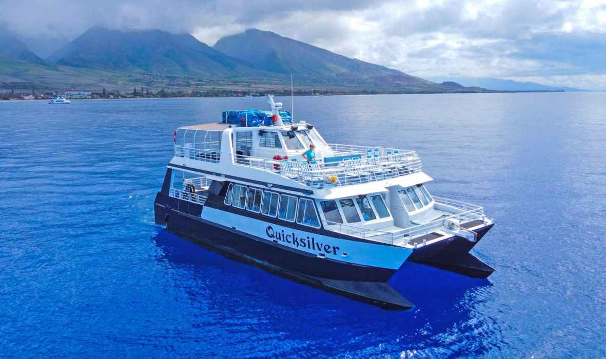 Quicksilver Maui | Whale Watching and Snorkeling in Ma'alaea, HI